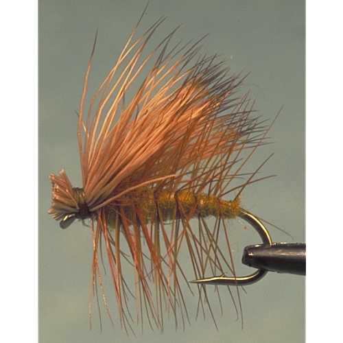 Traveling Sedge~Caddis (skittering, running, motoring along…a wallow ...