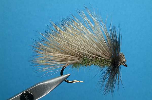 Traveling Sedge~Caddis (skittering, running, motoring along…a wallow ...