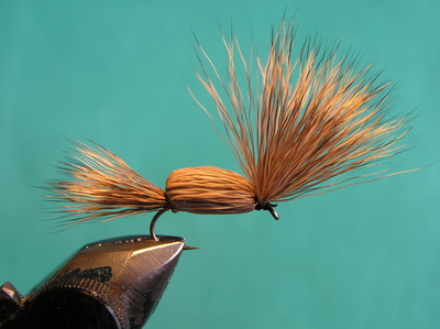 Traveling Sedge~Caddis (skittering, running, motoring along…a wallow ...