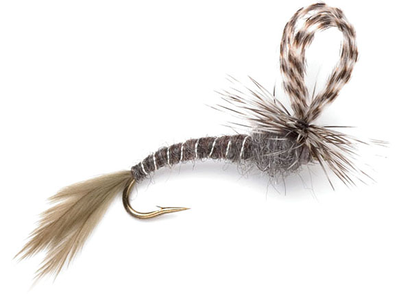 Callibaetis Loop Wing Emerger – SwittersB & Exploring