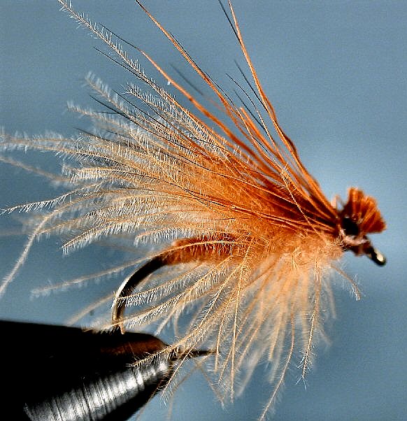 October Caddis Fly Pattern (Not just in October) – SwittersB & Exploring