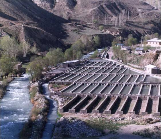 Iran & Fish Farming (Trout Hatcheries to raise protein intake of ...
