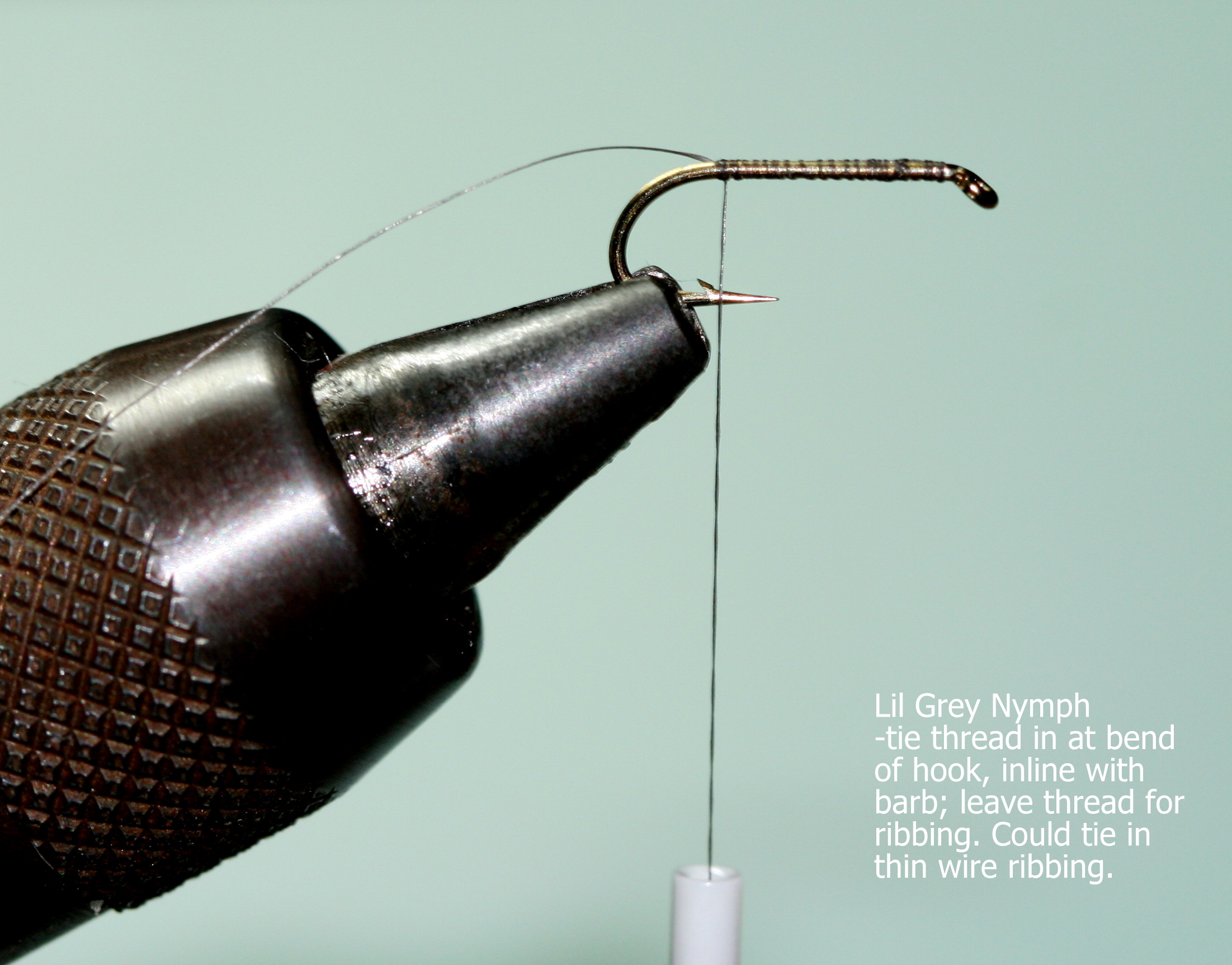 Lil’ Grey Nymph (So Simple You’ll Ignore It….Don’t) – SwittersB & Exploring