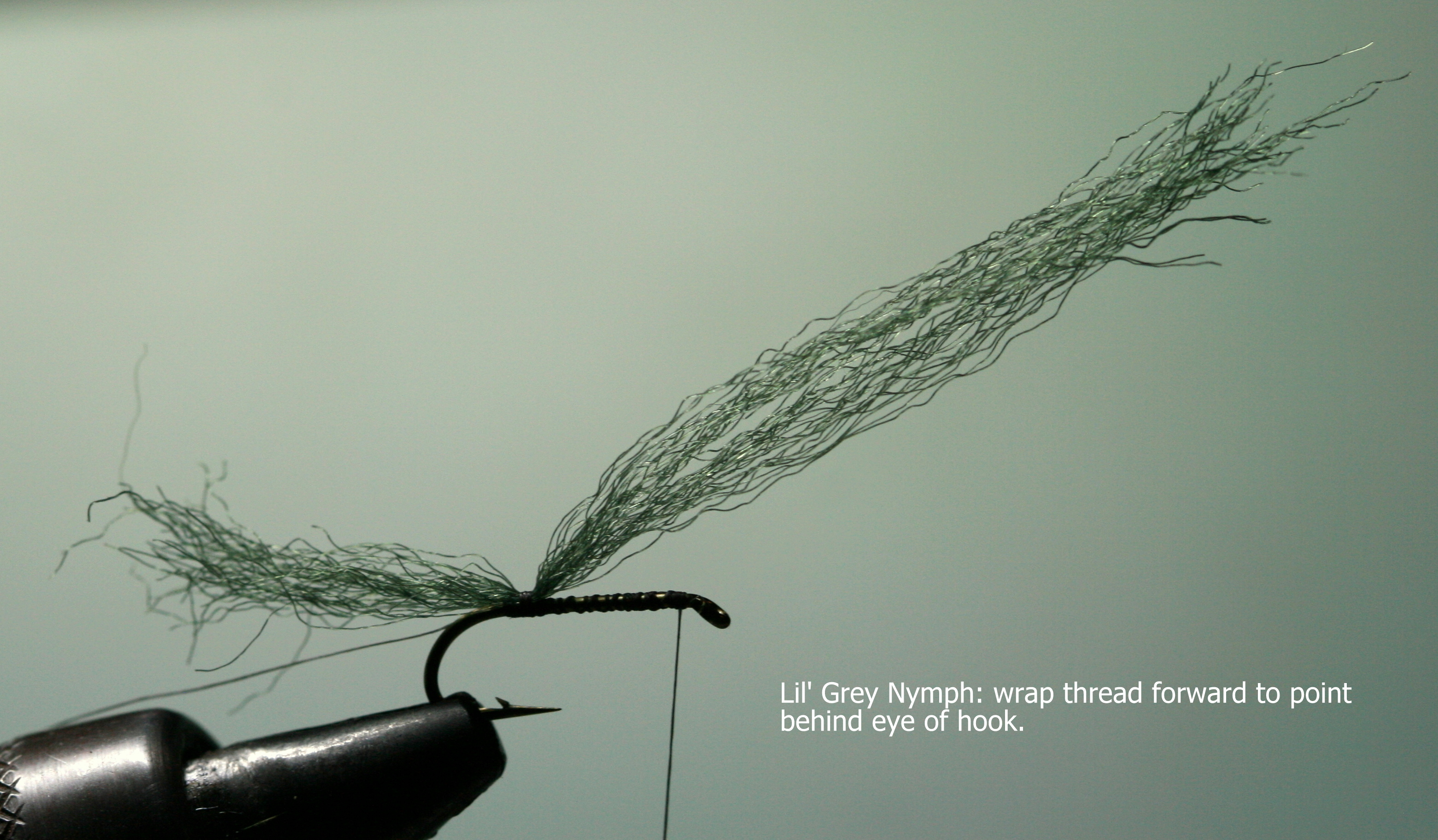 Lil’ Grey Nymph (So Simple You’ll Ignore It….Don’t) – SwittersB & Exploring