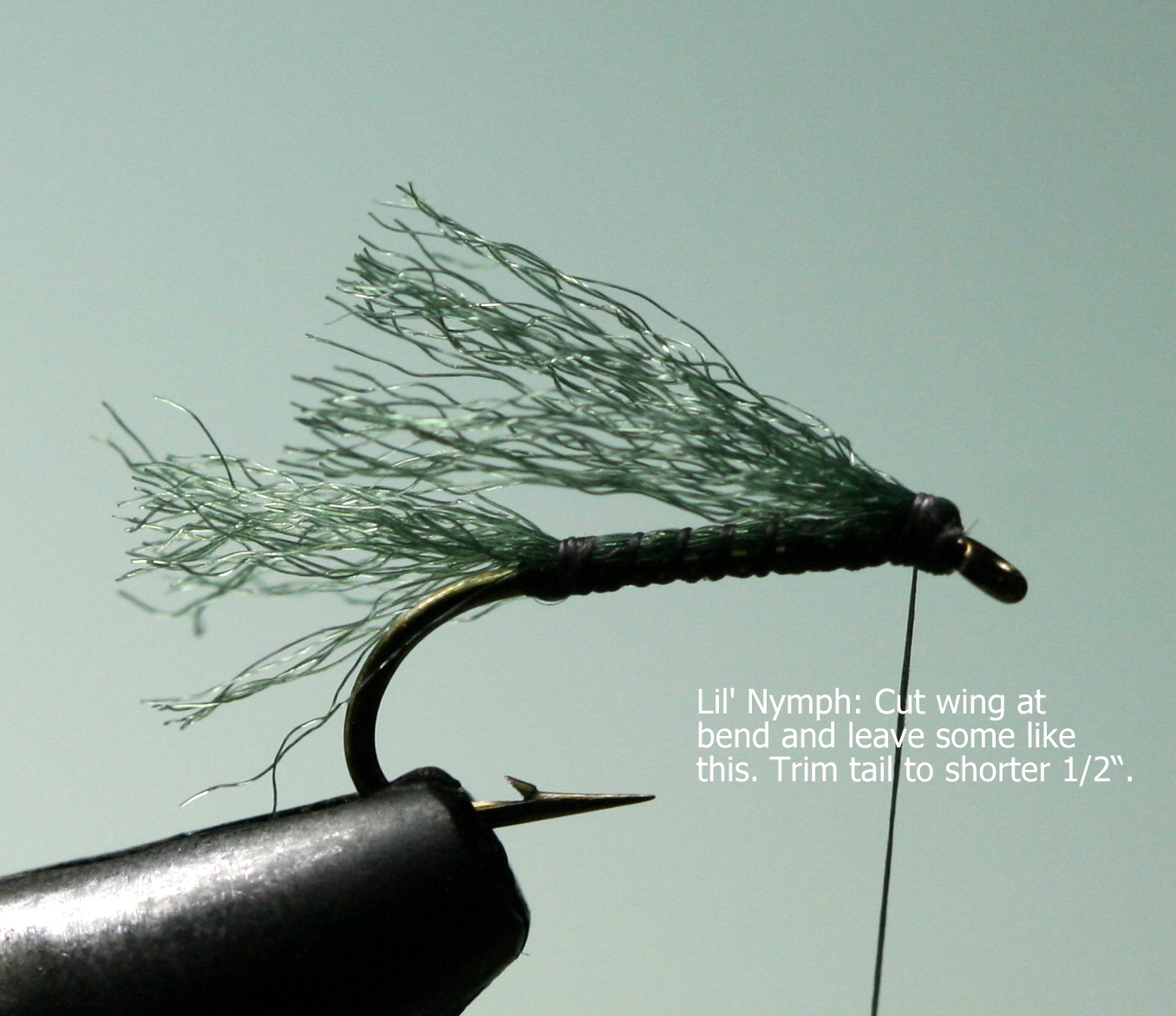 Lil’ Grey Nymph (So Simple You’ll Ignore It….Don’t) – SwittersB & Exploring