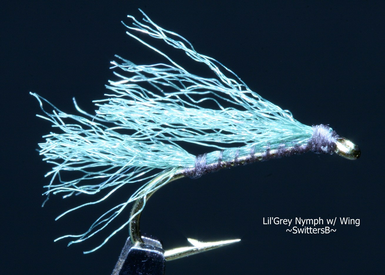 Lil’ Grey Nymph (So Simple You’ll Ignore It….Don’t) – SwittersB & Exploring