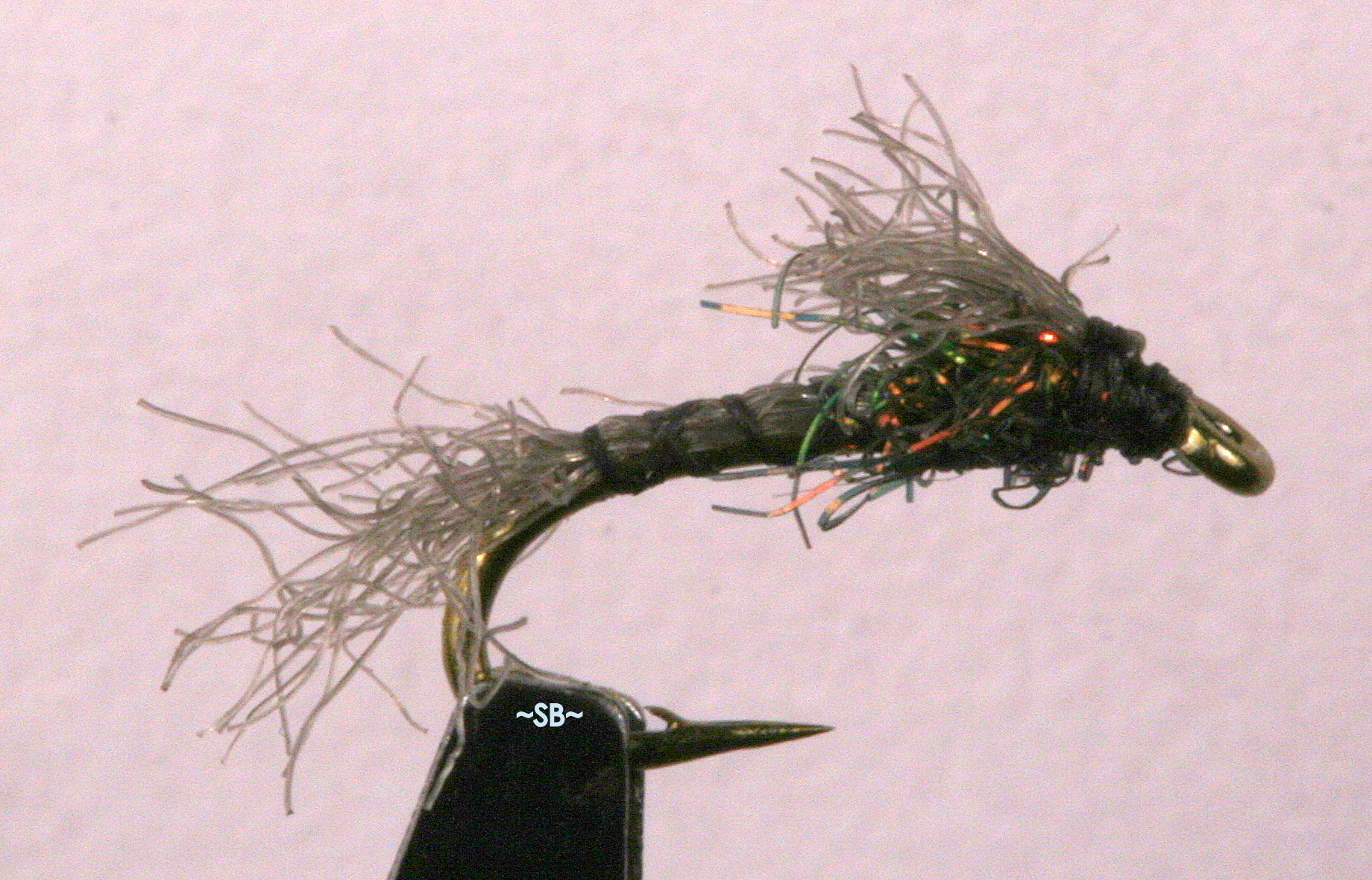 Lil’ Grey Nymph (So Simple You’ll Ignore It….Don’t) – SwittersB & Exploring