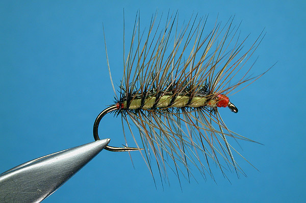 Fly Tying: Basic Pattern Progression (Woolly Worm to Woolly Bugger and ...
