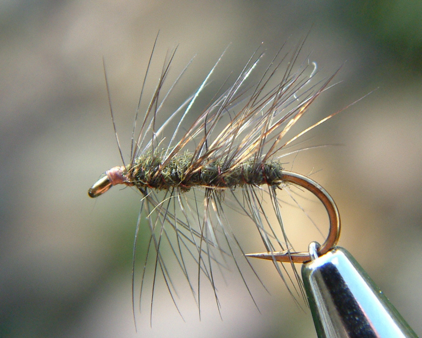 Fly Tying: Basic Pattern Progression (Woolly Worm to Woolly Bugger and ...