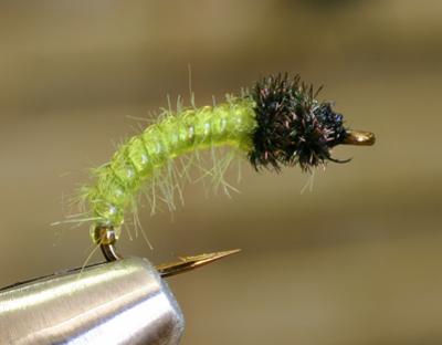 Fly Tying: Fuzzle Dubbing onto V-Rib – SwittersB & Exploring