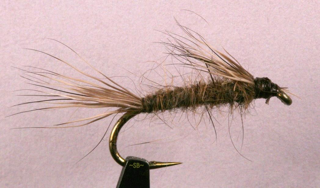 Fly Tying: Cope’s Callibaetis Nymph (Stillwater Pattern) – SwittersB ...