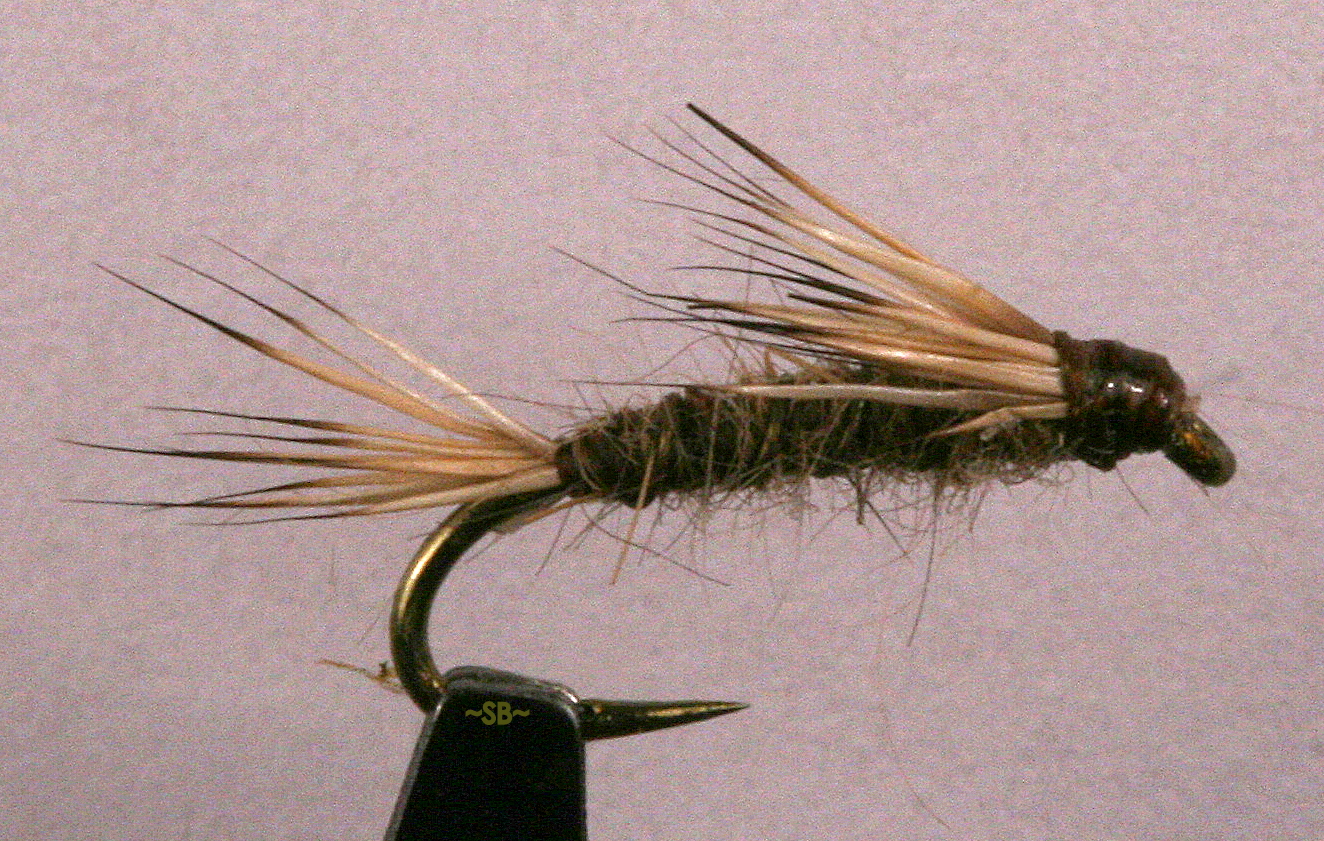 Fly Tying: Cope’s Callibaetis Nymph (Stillwater Pattern) – SwittersB ...