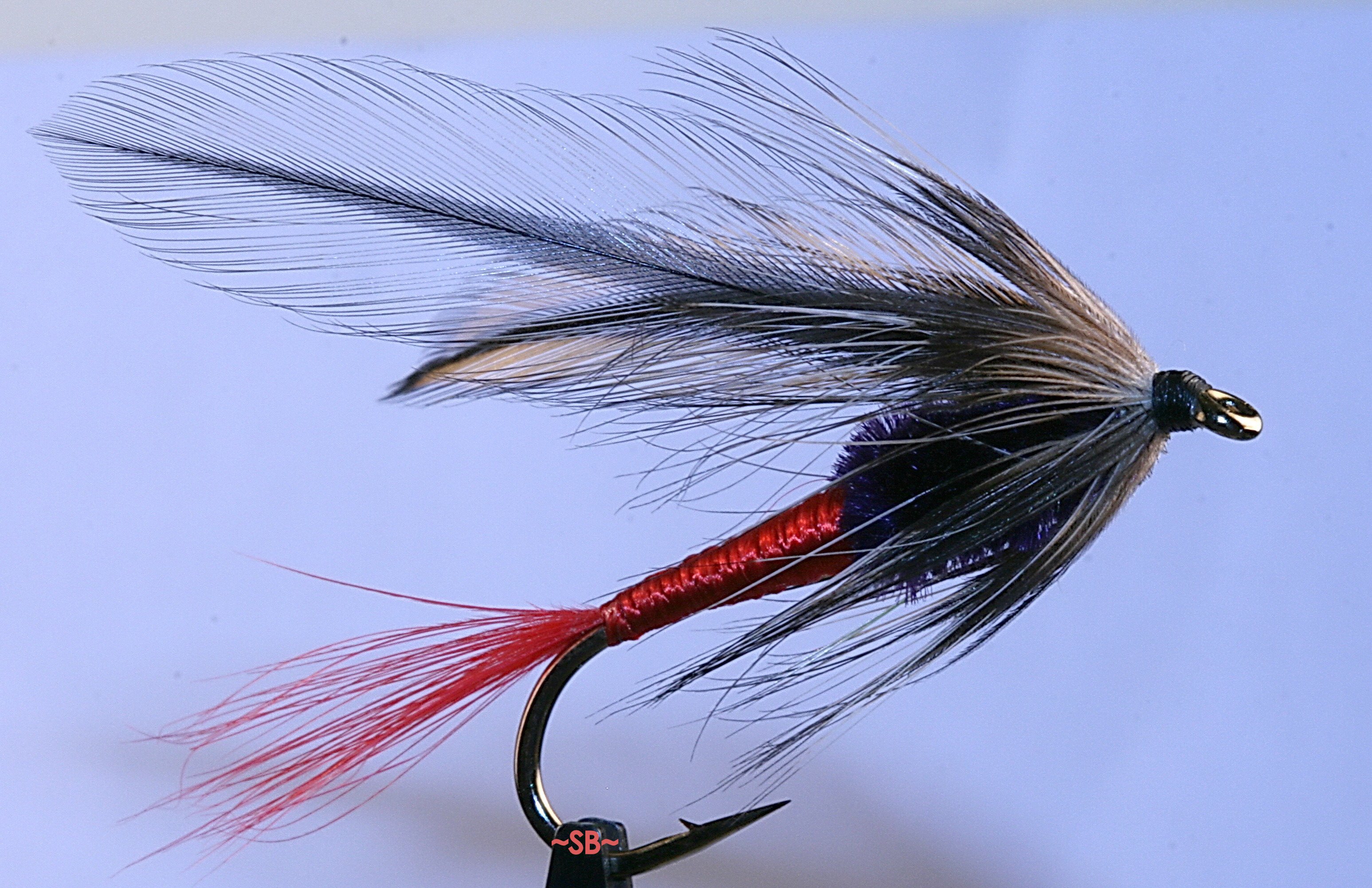Fly Tying: Spruce Fly Streamer (Matching the Wings) – SwittersB & Exploring