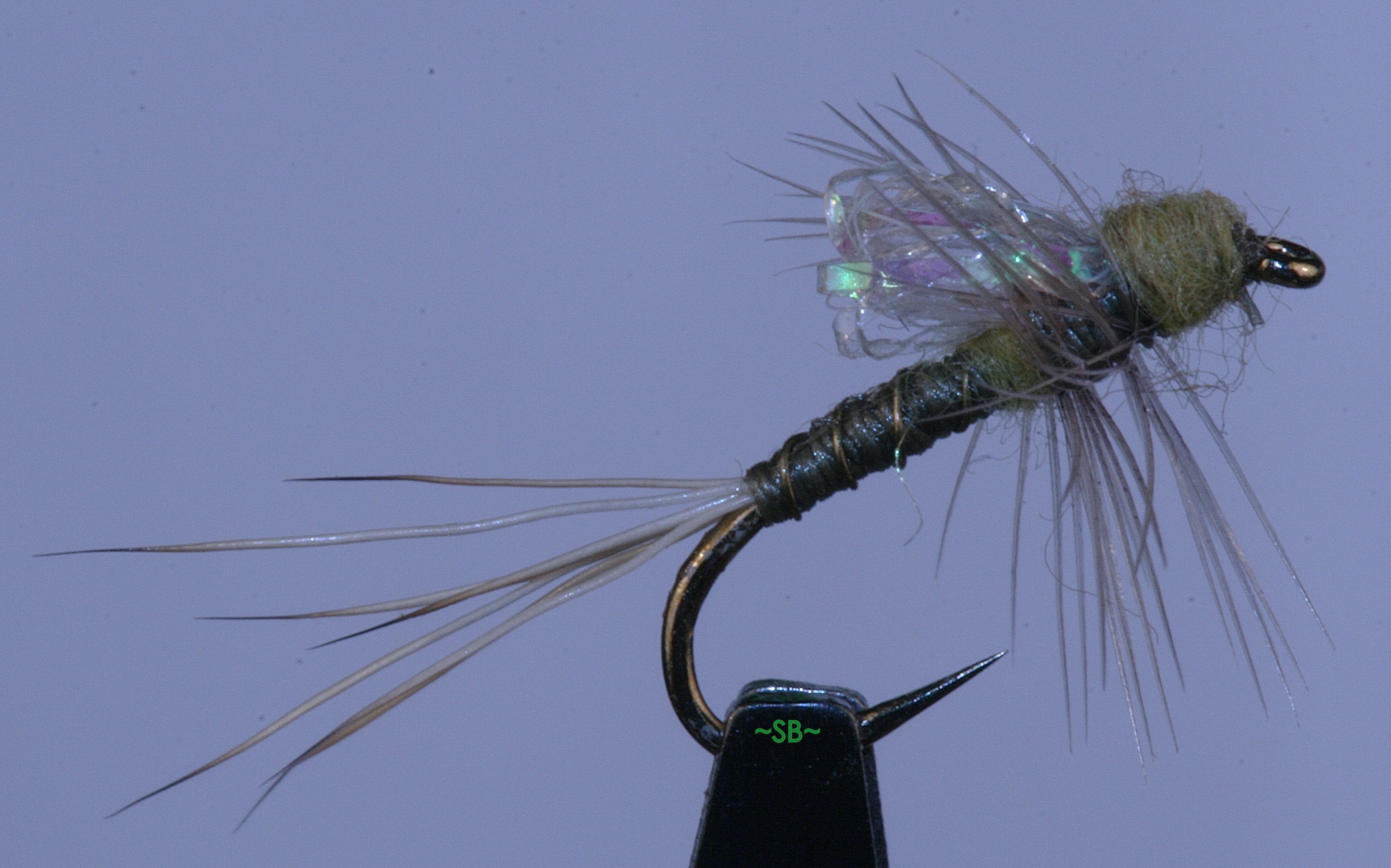 Fly Tying: BWO Emerger Pattern (Bud Wing & Loop Wing) – SwittersB ...