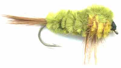 Fly Tying: Montana Stonefly Variety – SwittersB & Exploring