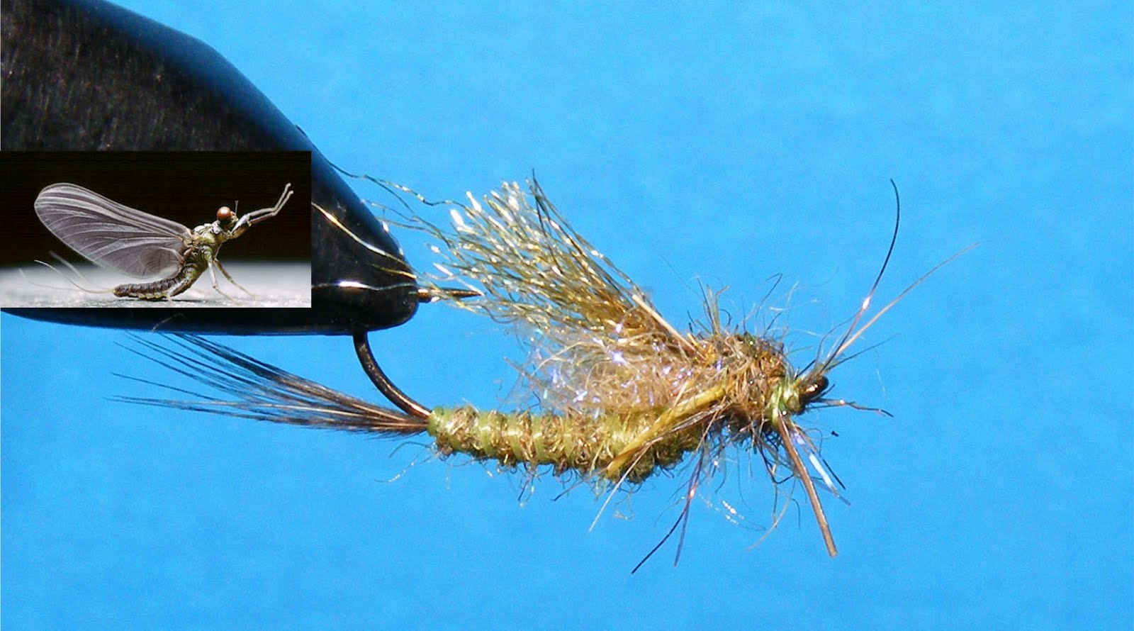 Fly Tying: Chad’s BWO (Inverted Hook…Nice) – SwittersB & Exploring