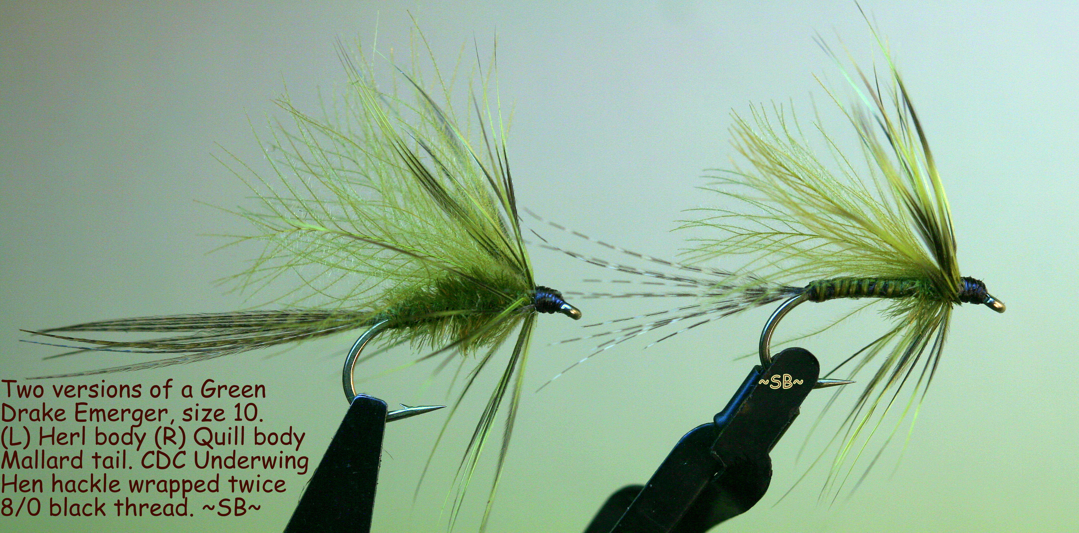 Fly Tying: Green Drake Emerger (Subsurface) – SwittersB & Exploring