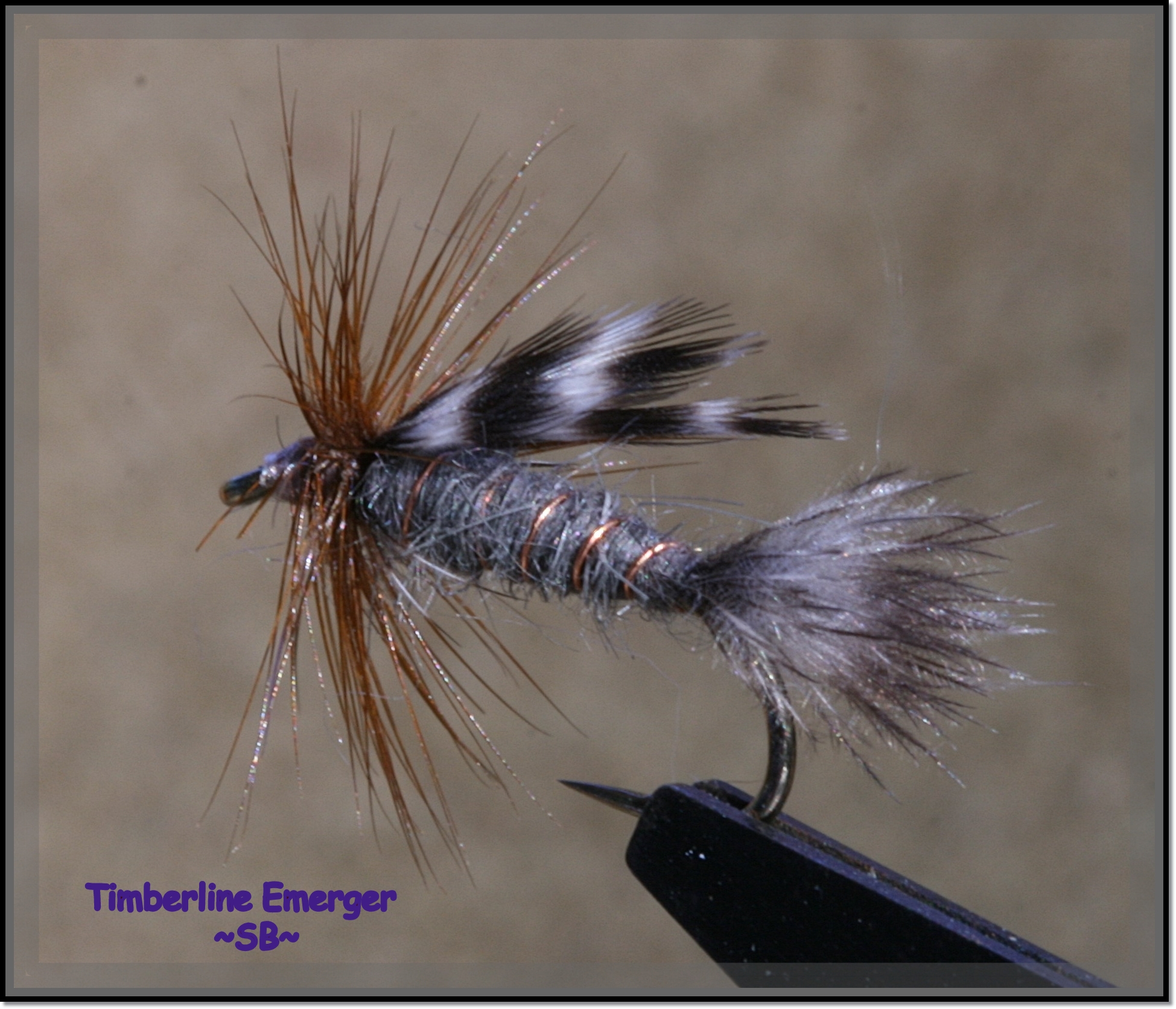 Fly Tying: Timberline Emerger Pattern for Stillwaters – SwittersB & Exploring