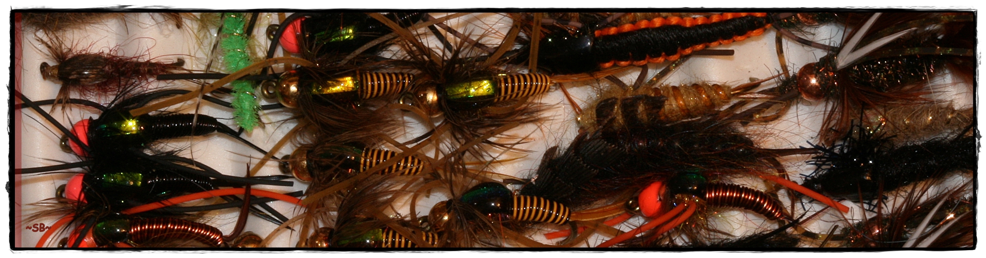 Fly Fishing: Copper Swan~Steelhead Nymph Pattern – SwittersB & Exploring