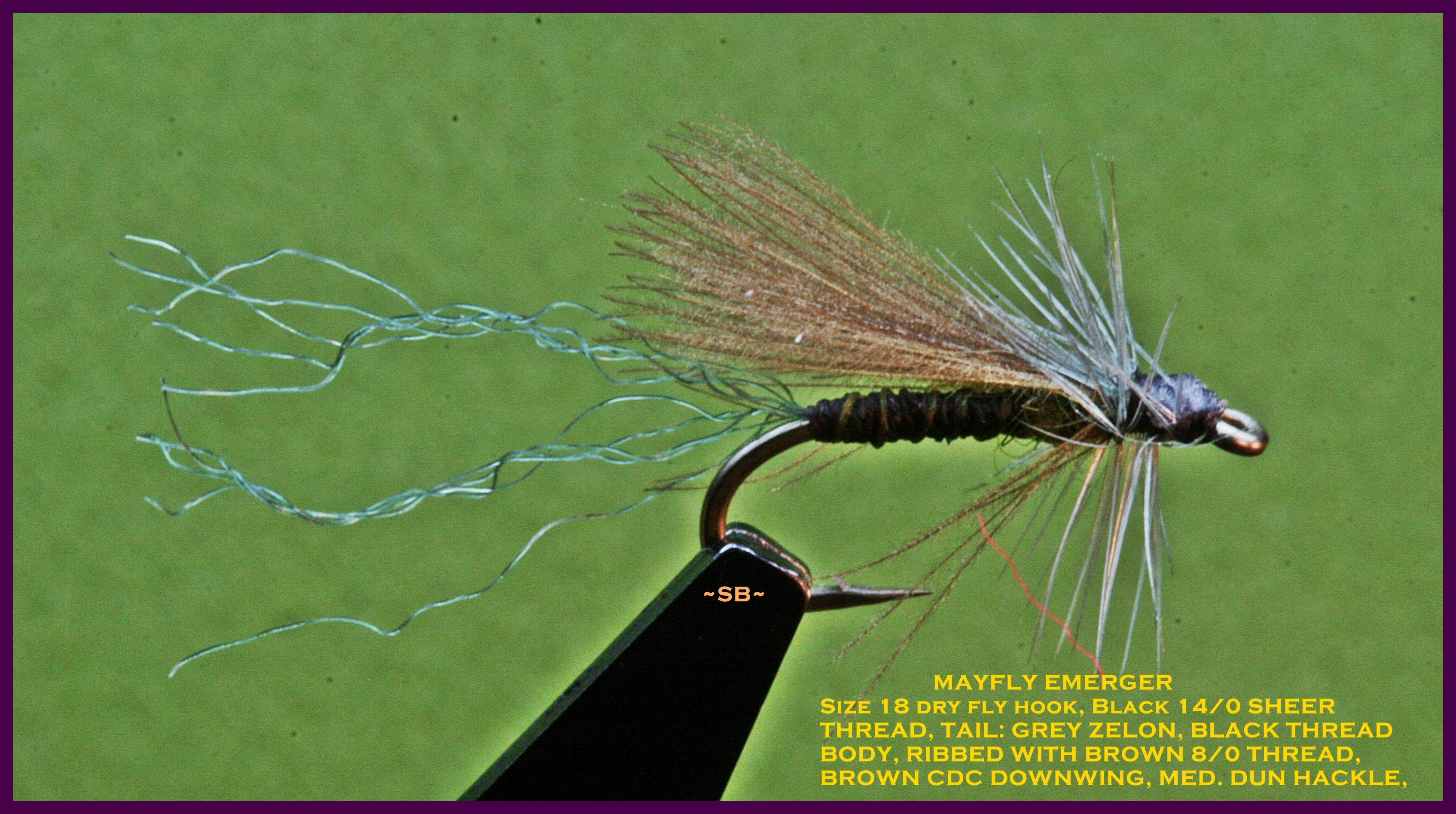 Fly Tying: Emerger’s Trailing Shucks – SwittersB & Exploring