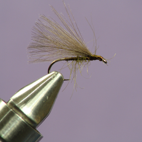 Fly Tying: Marjan Fratnik’s F Fly – SwittersB & Exploring