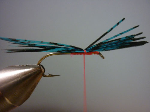 Fly Tying: Pinch Wrap – SwittersB & Exploring