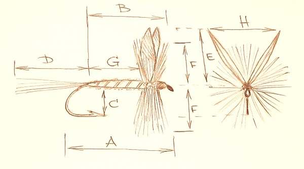 Fly Tying: Classic Dry Fly Proportions – SwittersB & Exploring