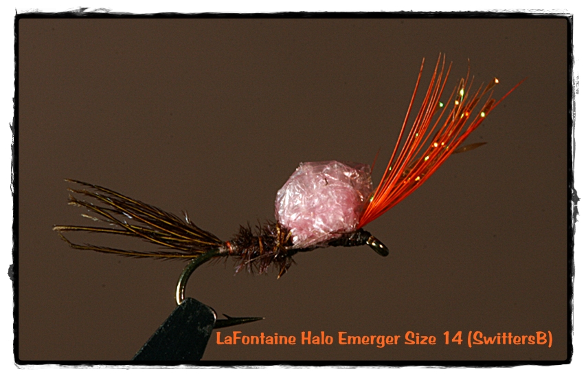 Fly Tying: LaFontaine Halo Emerger – SwittersB & Exploring