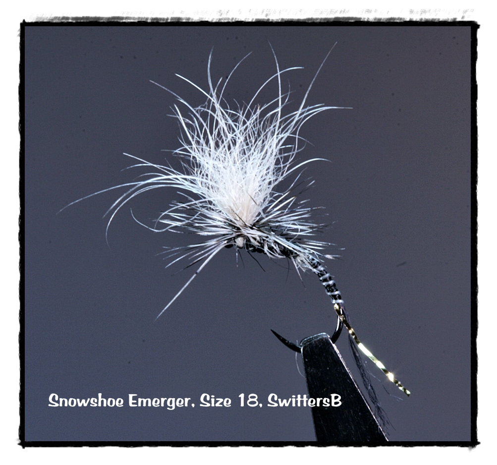 Fly Tying: Snowshoe Parachute Emerger – SwittersB & Exploring