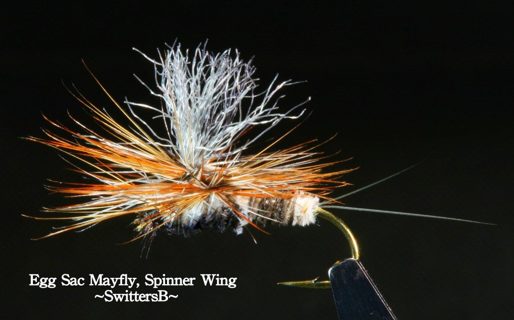 Fly Tying: Egg Sacs (Female Dun or Spinner?) – SwittersB & Exploring