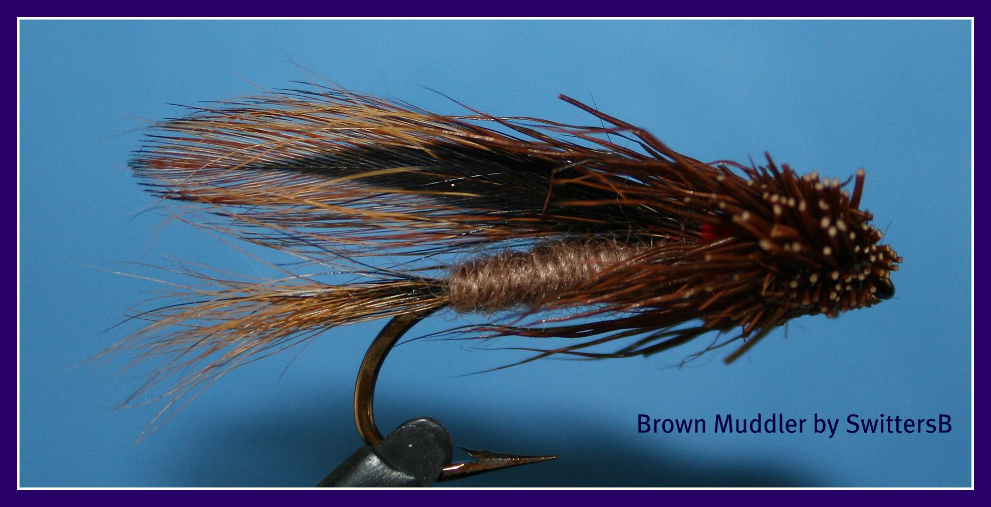 Fly Tying: Brown Muddler Minnow – SwittersB & Exploring