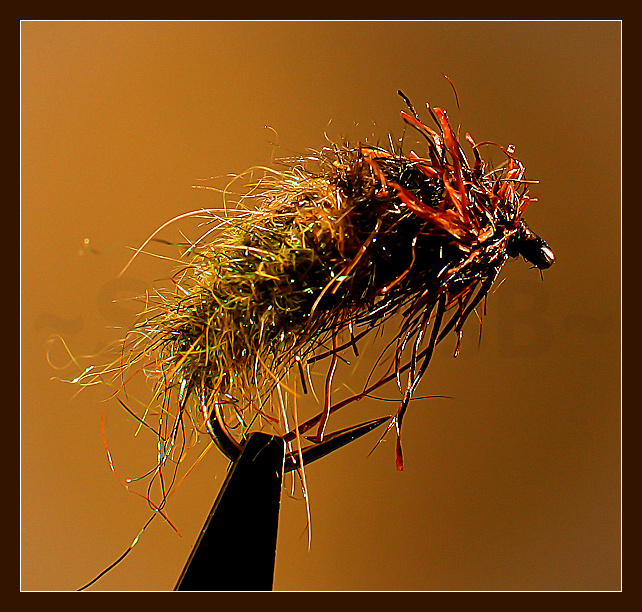 Fly Tying: Smooth or Dubbed Bodies – SwittersB & Exploring