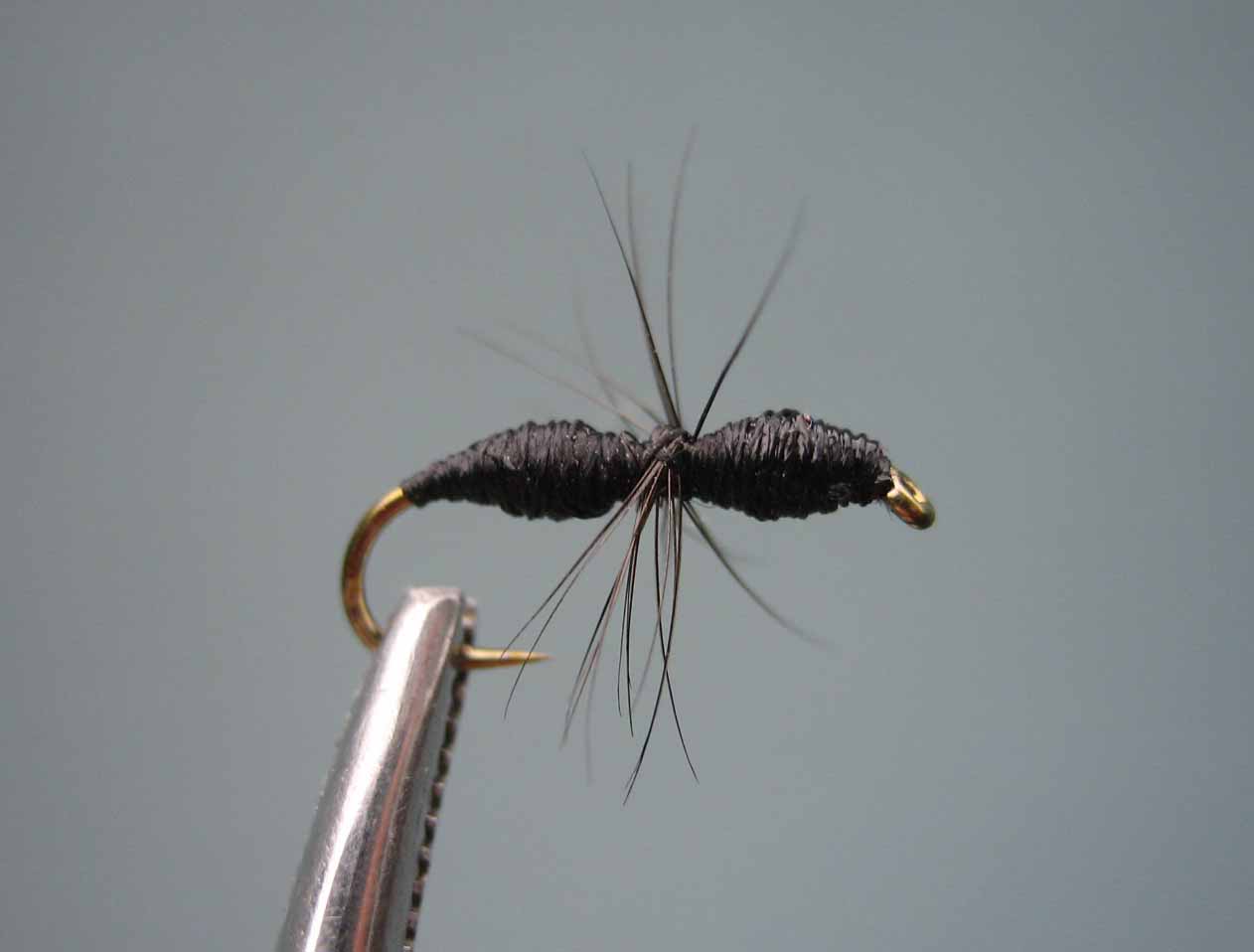 Fly Tying: The Simple Ant – SwittersB & Exploring