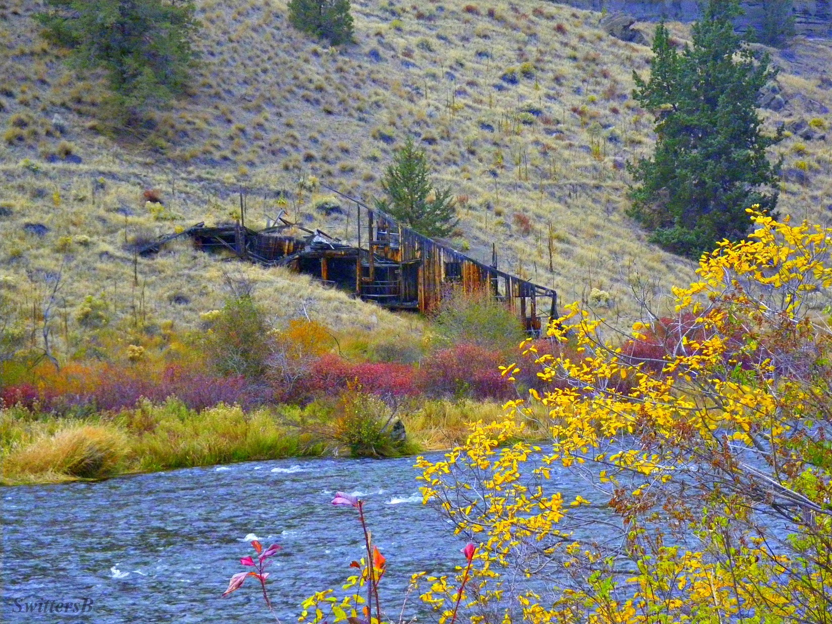 Foley Water’s Magic (Deschutes River) – SwittersB & Exploring