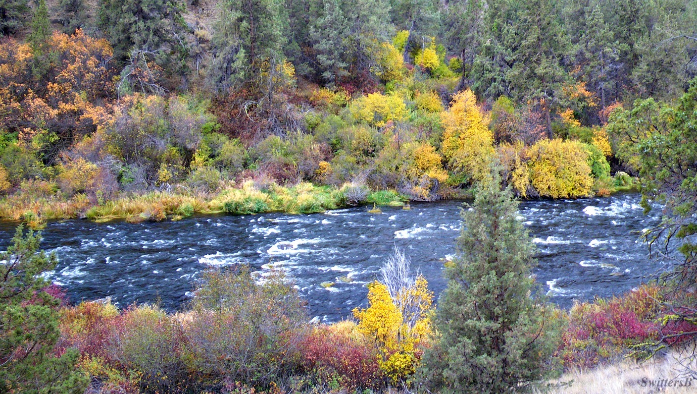 Foley Water’s Magic (Deschutes River) – SwittersB & Exploring