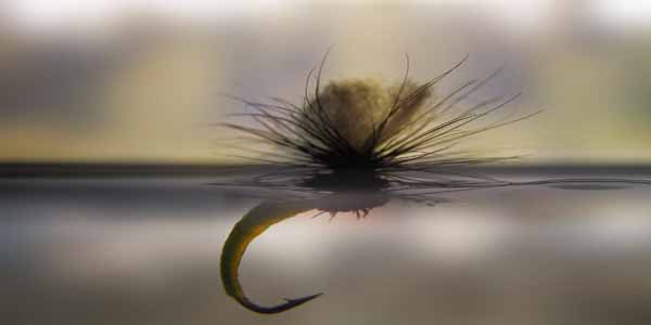 Fly tying the emerger pattern (visualize) – SwittersB & Exploring