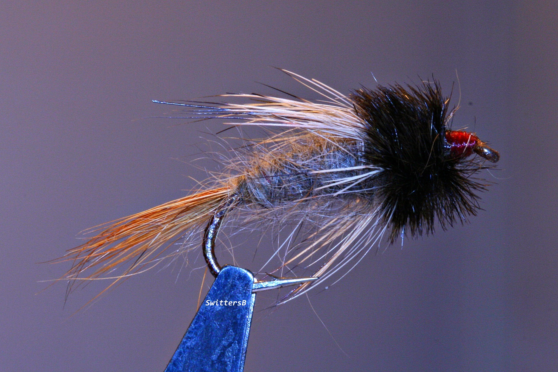 Fly Tying: Casual Dress Nymph – SwittersB & Exploring