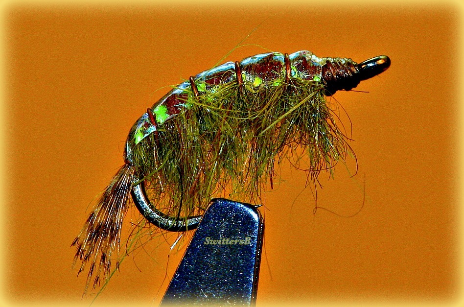 Fly Fishing: Scuds…hold the lemon – SwittersB & Exploring