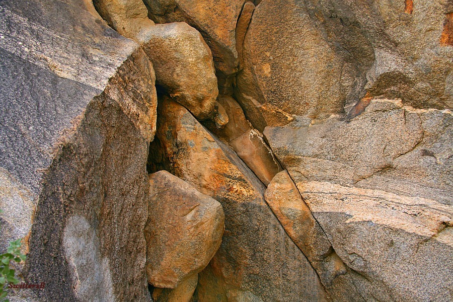 Layers in Nature…Broken As in Life – SwittersB & Exploring