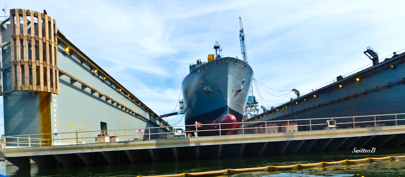 Portland Dry Dock…the Vigorous – SwittersB & Exploring