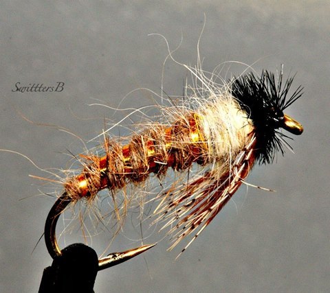 fly pattern: emerging caddis pupa – SwittersB & Exploring