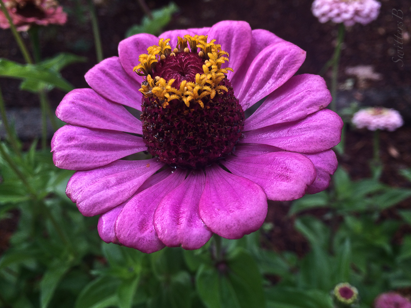Suspended beauty… – SwittersB & Exploring