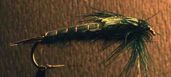 Stonefly time… – SwittersB & Exploring