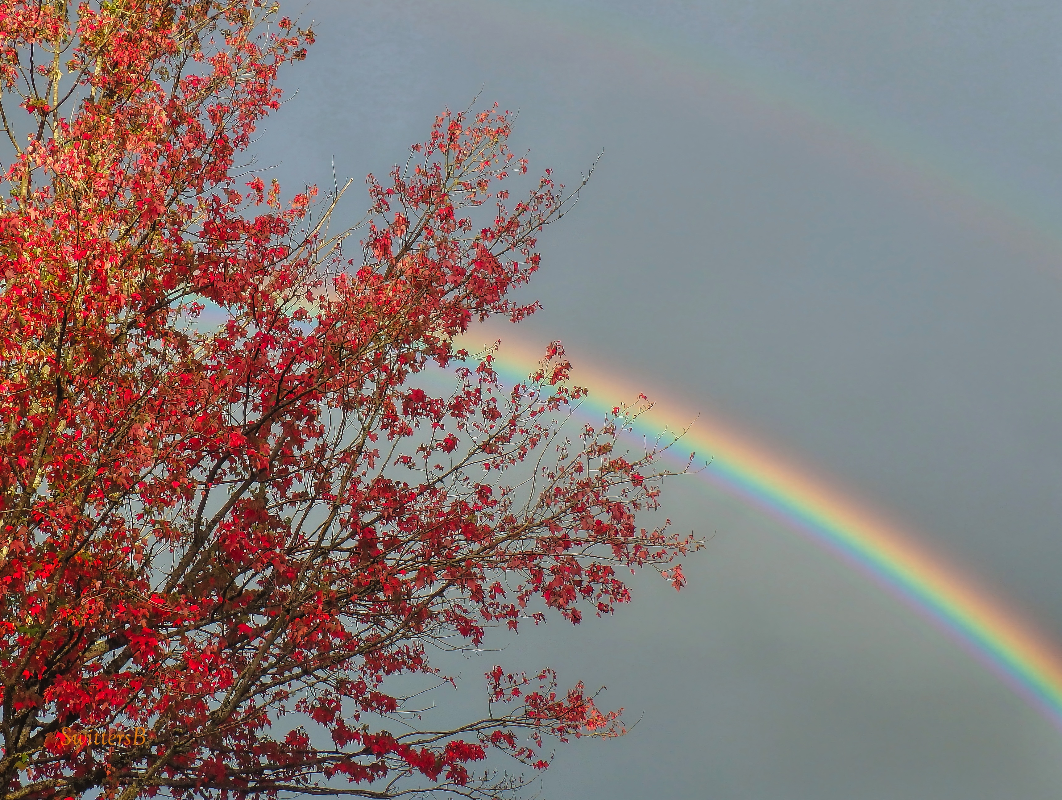Fall colors, showers and rainbows… – SwittersB & Exploring